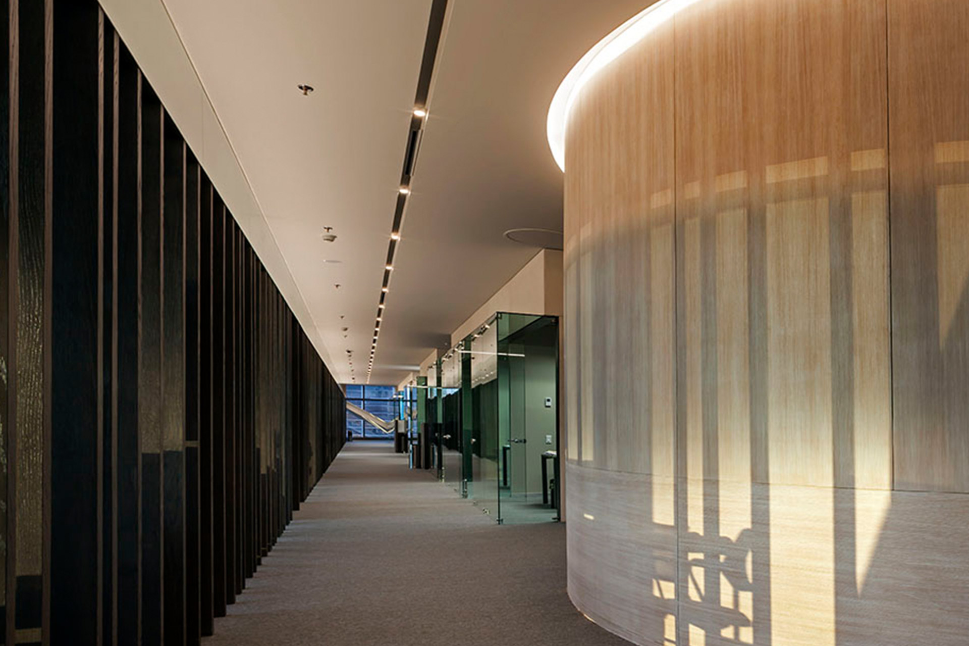 Ritch Mueller - GAYA